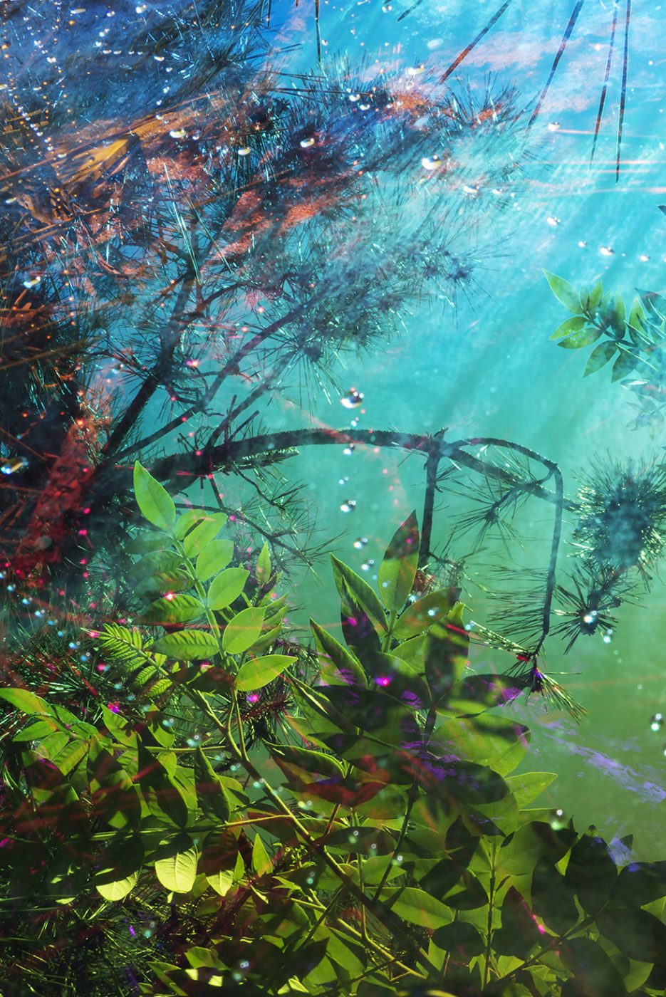 An Insider's Guide to Miami Art Week with Indagare