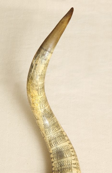 Horns of History - 1stDibs Introspective