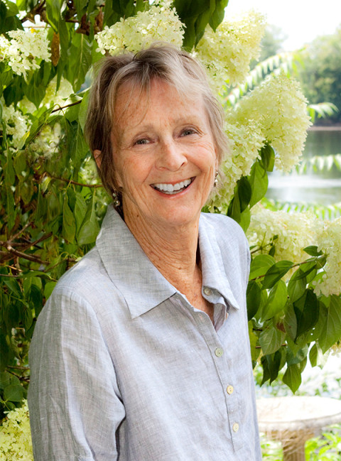 Saving Public Gardens - 1stDibs Introspective