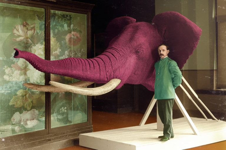 This Art Duo Mingles Dutch Masters, Darwinism and Dead Birds