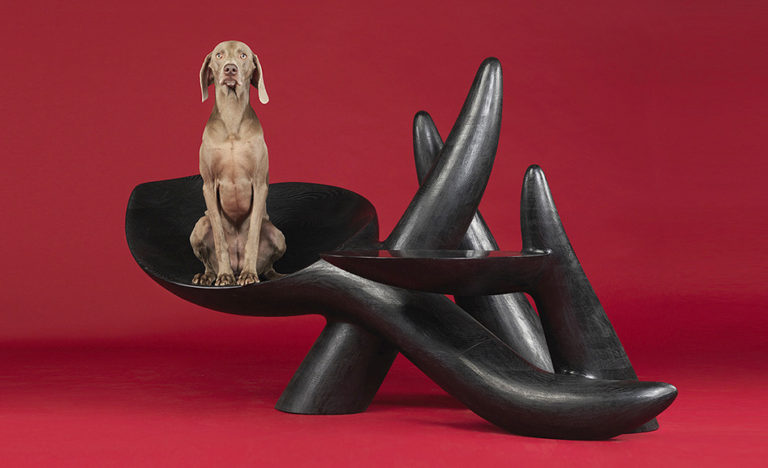 Michael Reynolds Is the “Secret Sauce” of Photo Shoots - 1stDibs ...