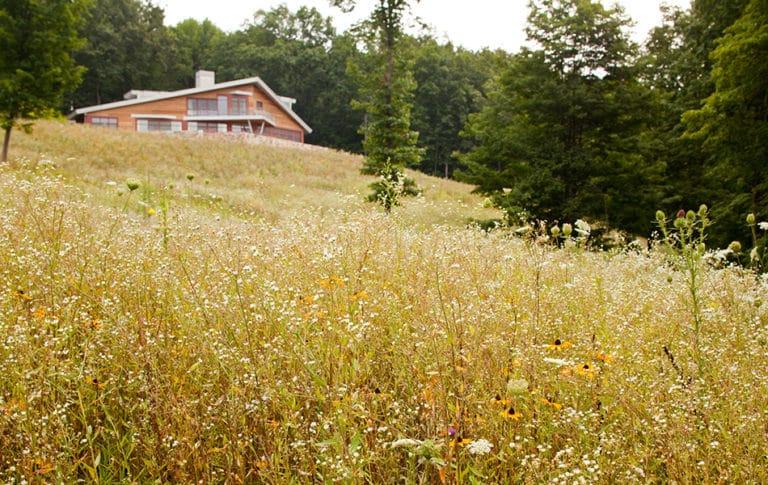 How Thomas Woltz Is Shifting Landscape Architecture - 1stDibs Introspective