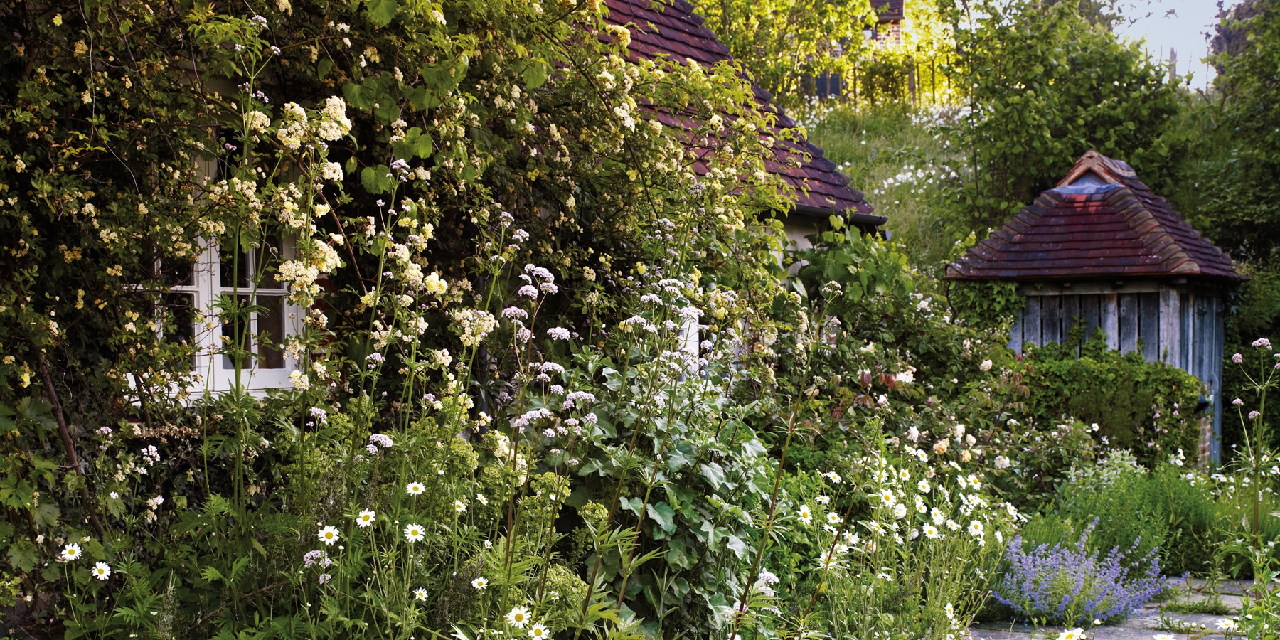 Jinny Blom Brings Eclecticism and Order to the U.K.’s Finest Gardens - 1stDibs Introspective