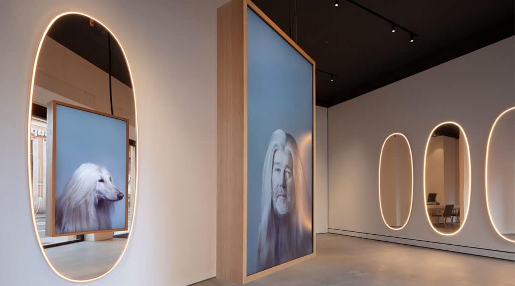 It’s Time to Shine a New Light on Legendary Italian Maker FLOS ...