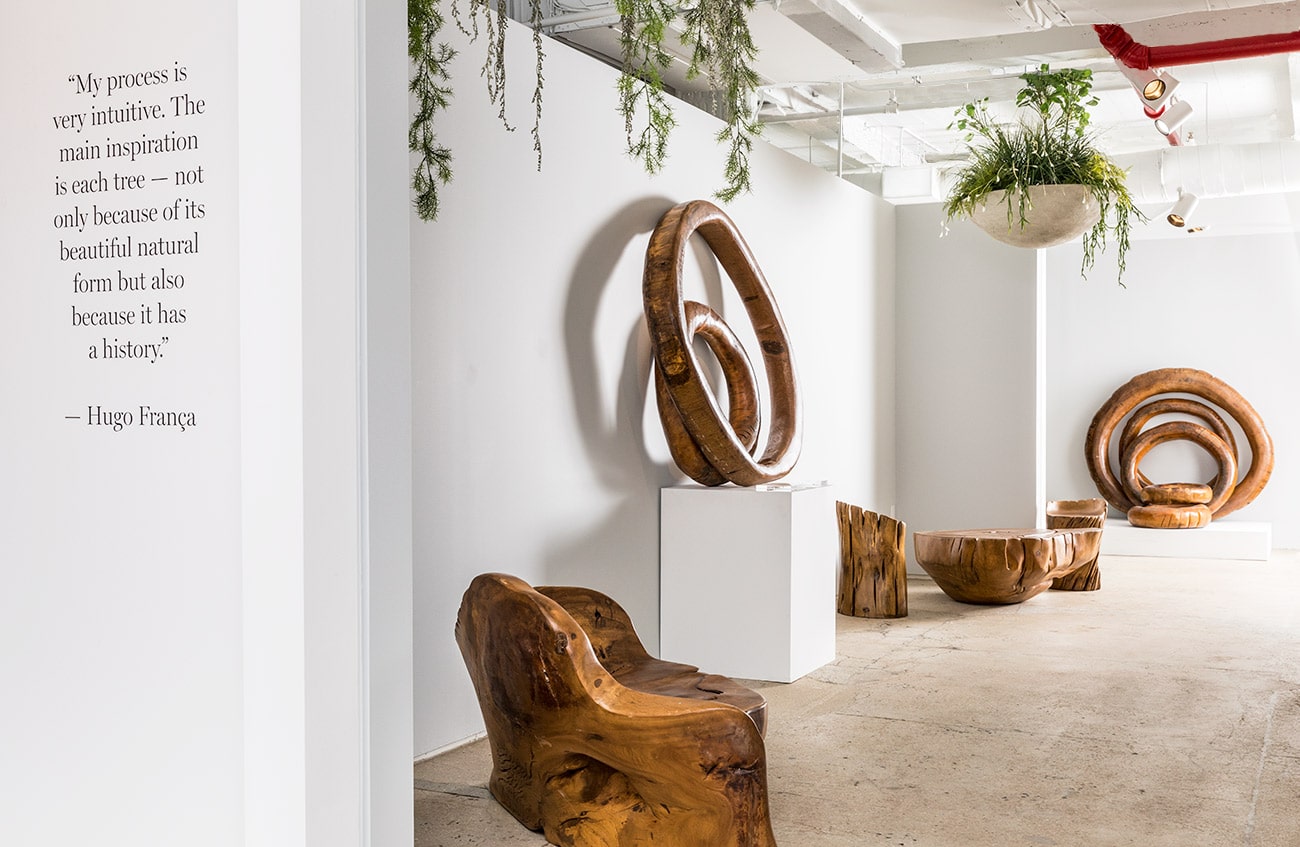 Hugo França Transforms the Remnants from Brazil’s Deforestation ...