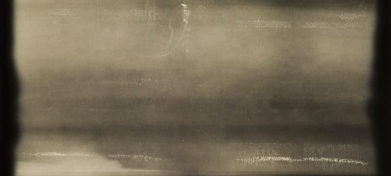 Photographer Alison Rossiter’s Accidental Photograms | 1stDibs