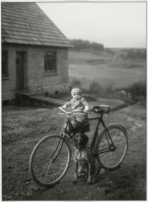 Harnessing the Power of Photography for This Era - 1stDibs Introspective