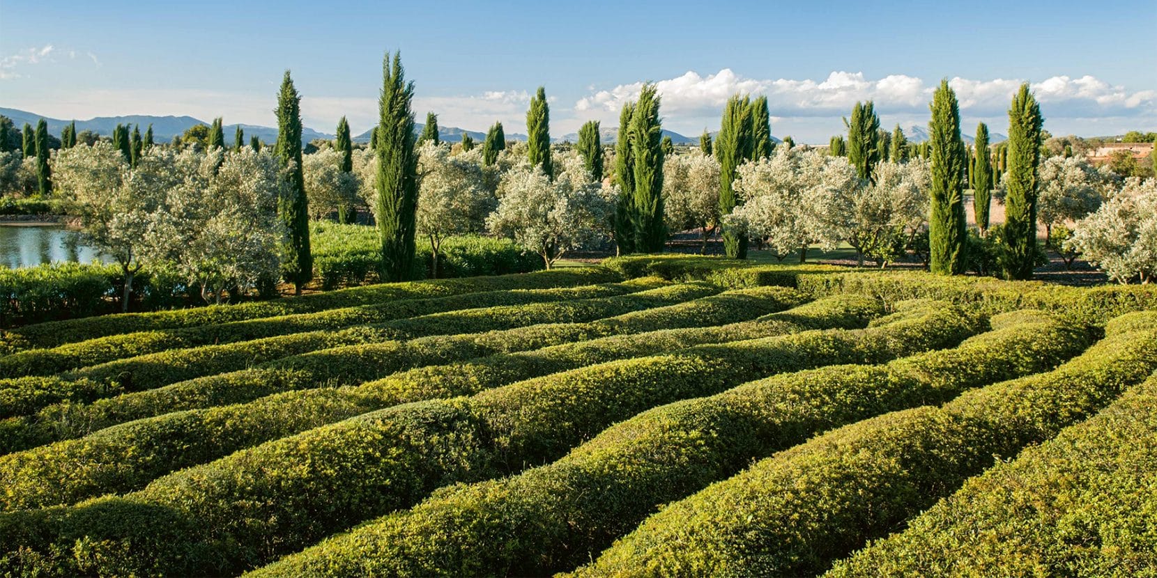 Get Lost in the Undulating Patterns of Fernando Caruncho’s Gardens ...