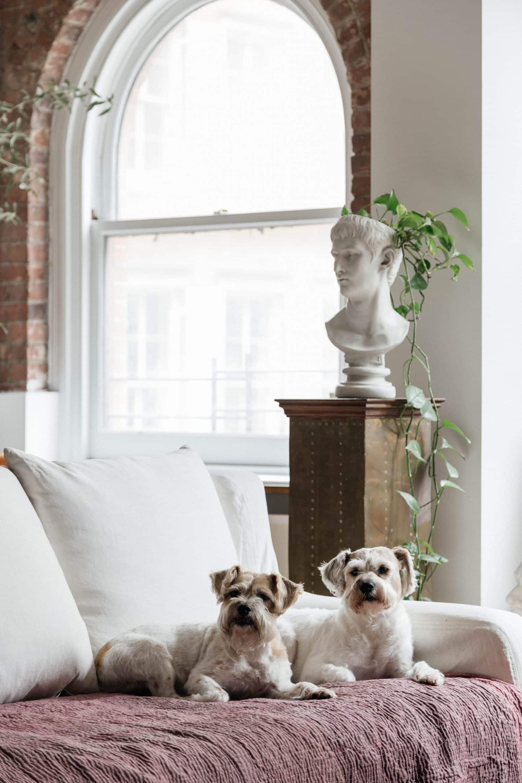 Jae Joo Mixes Old and New Furniture for Lived-In Comfort and Charm ...