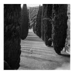 Jonathan Becker Reflects on His Decades of Photographing A-Listers for ...