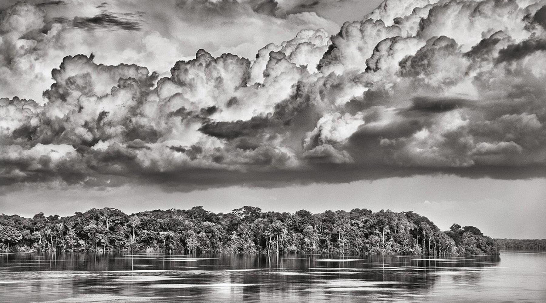 Sebastião Salgado Takes Us on a Close-Up Journey to Amazônia - 1stDibs ...