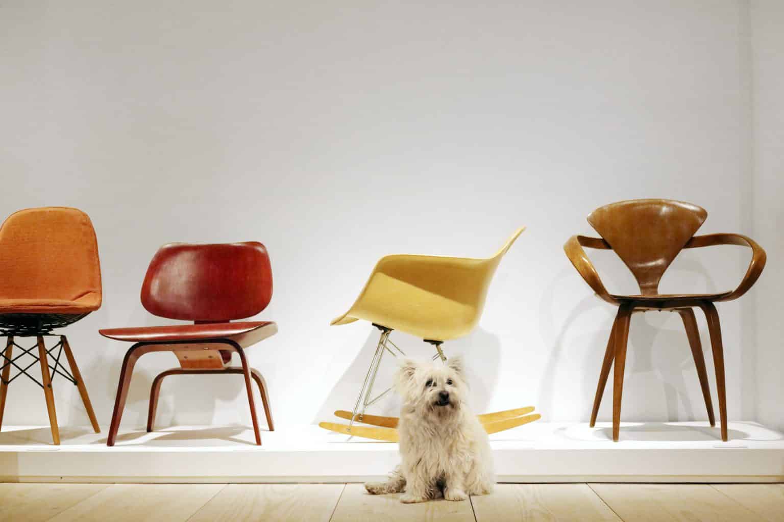 Frankfurt’s Frank Landau Has Mid-Century Design Covered, from Aalto to ...