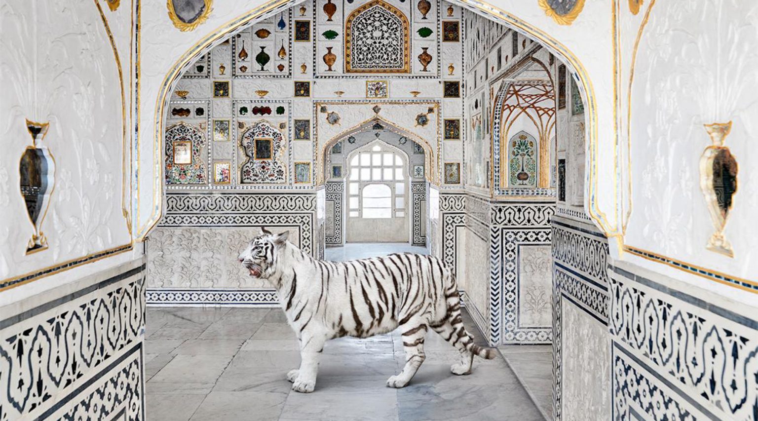 In Karen Knorr’s Sumptuous Photos, Exotic Animals Appear in Opulent ...