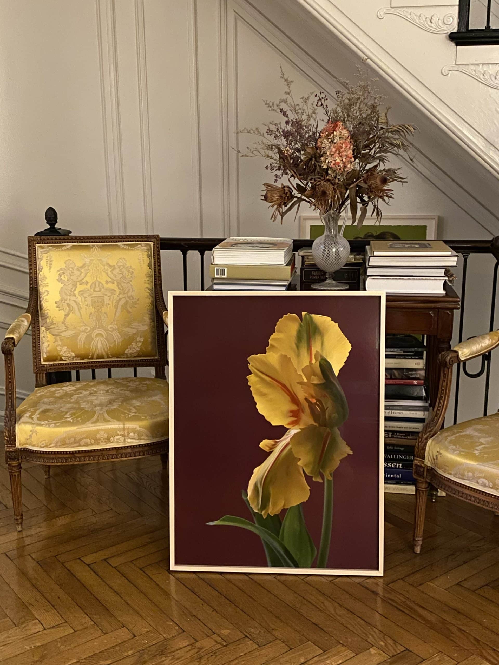 Anna Condo’s Multifaceted Career Spans Film, Photography and NFTs ...