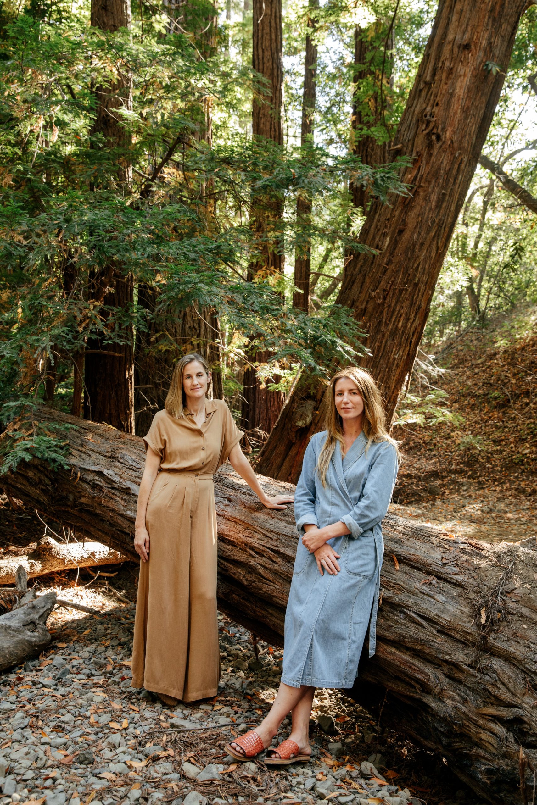 Electric Bowery Has Created a Stunning Sanctuary of Well-Being in ...