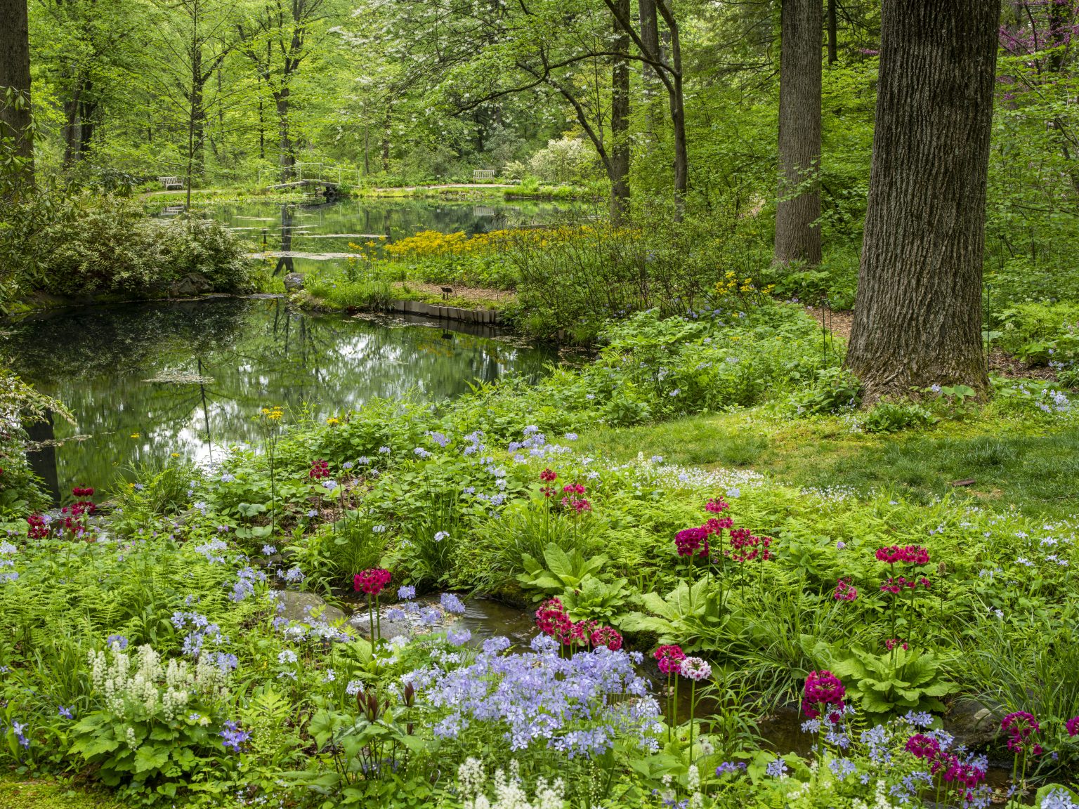 Tour a Quintet of du Pont Family Gardens, as Captured by Lensman Larry ...